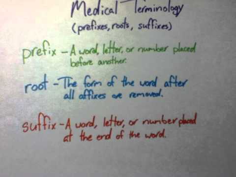Medical Terminology (Prefixes, Roots, Suffixes)