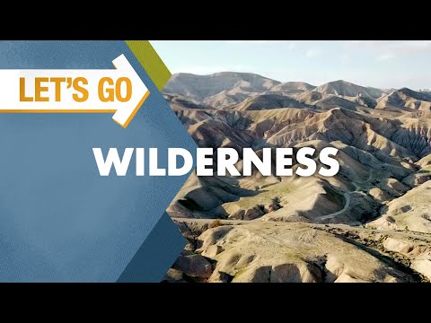 LET'S GO : The Wilderness