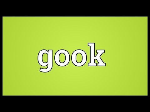 Gook Meaning