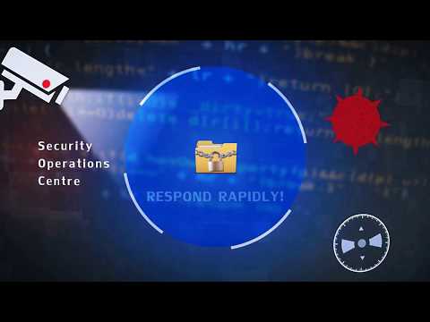 Raid Access - Your Partner in Cyber Security