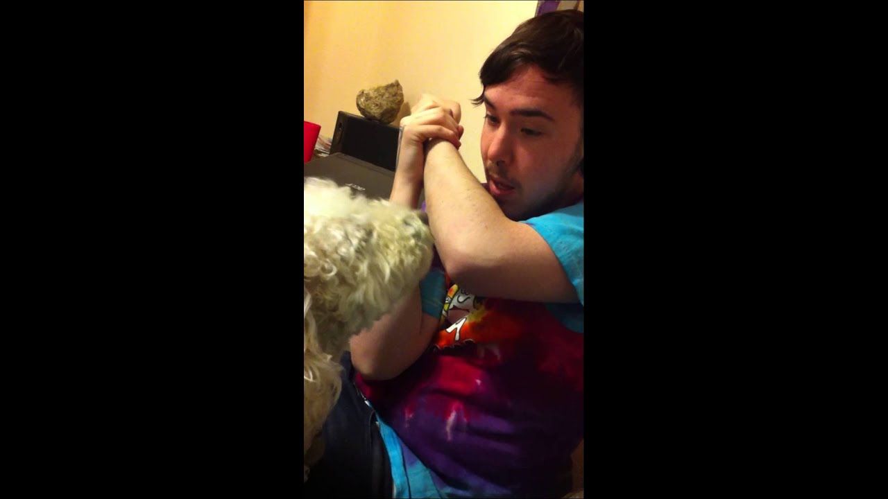 My boyfriends poodle hates fart sounds