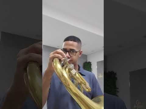 Sonata for French Horn and Piano - Franz Danzi