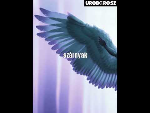 SCP-070 Dióhéjban | "Vasszárnyak"