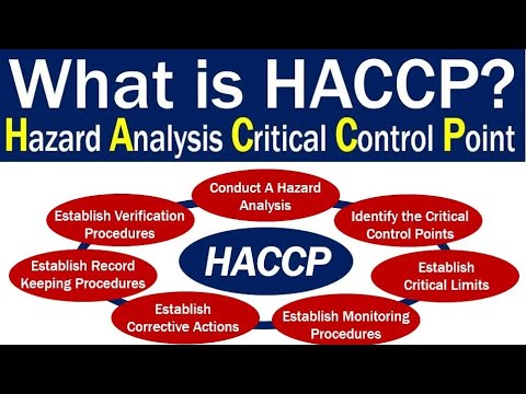 HACCP MEANING | WHAT IS HACCP DEFINITION | WHY HACCP IS IMPORTANT FOR EVERY BUSINESS IN AUSTRALIA