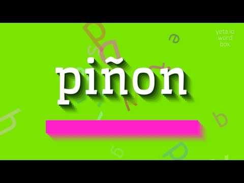 How to say "piñon"! (High Quality Voices)