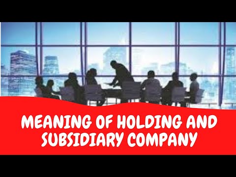 🔴 Holding Company and Subsidiary Company | Meaning | Kinds of Companies | Shorts |