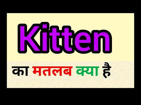 Kitten meaning in hindi || kitten ka matlab kya hota hai || word meaning english to hindi