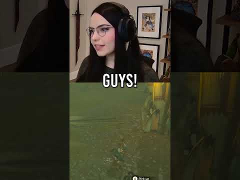 Telling a new Zelda player to attack the chickens...