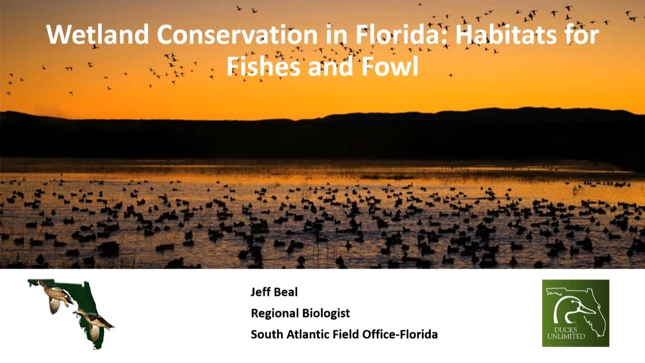 Florida Oceanographic Coastal Lecture Series - Wetland Conservation in Florida