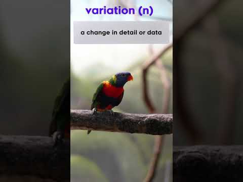 Variation (n) - Vocabulary Word of the Day! #Shorts