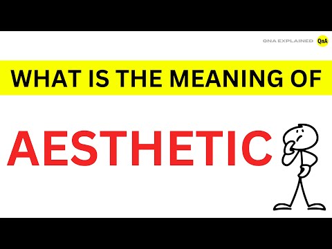What is the meaning of aesthetic ? - QnA Explained