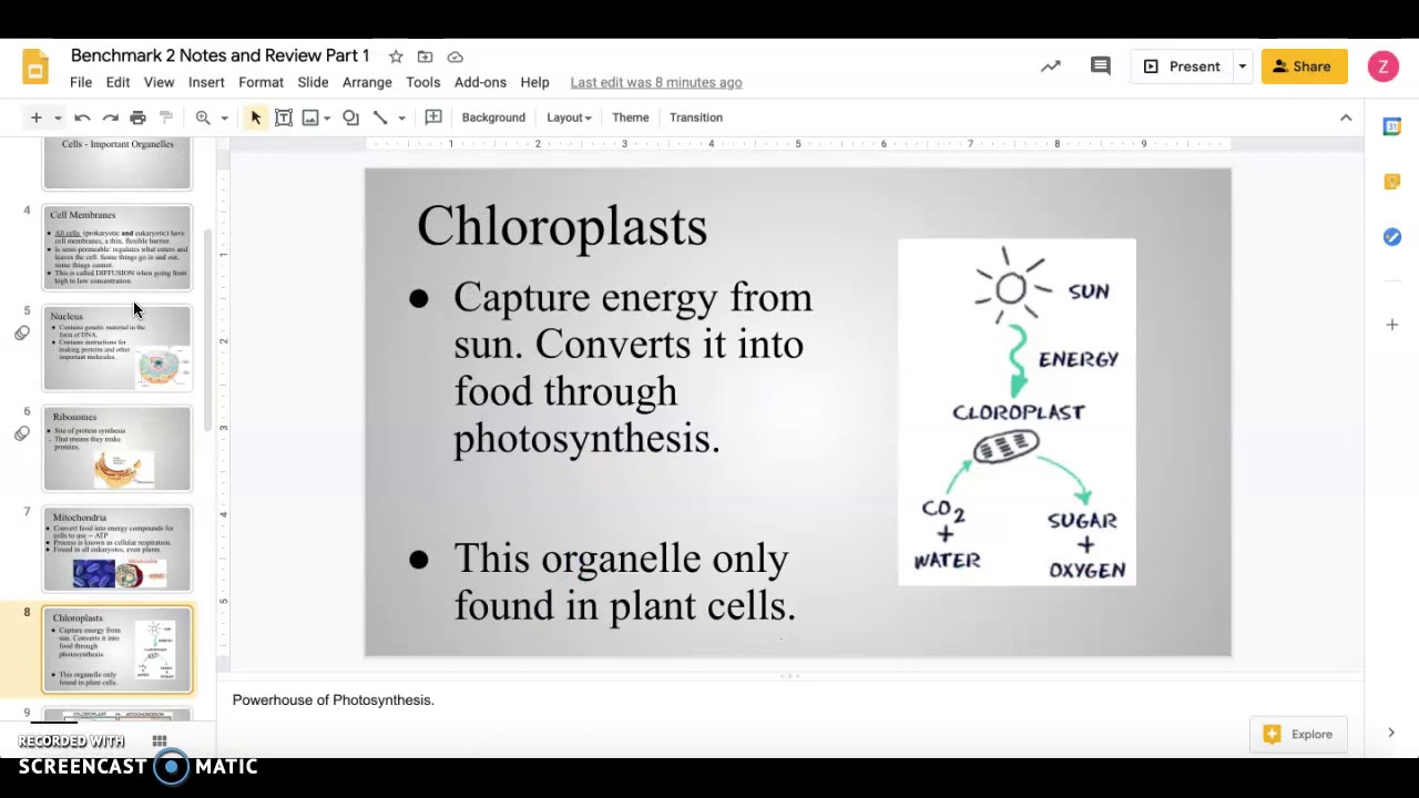 Benchmark 2 Review Prep