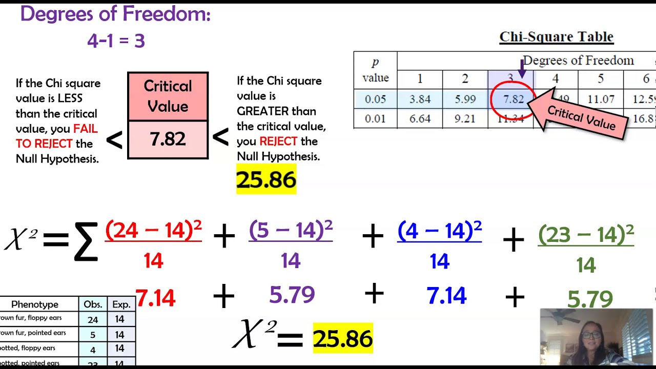Chi Square in Genetics & Examples (AP Biology)