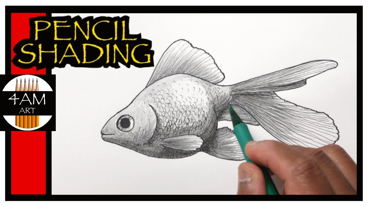 How to Draw a Goldfish: PENCIL SHADING