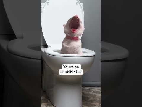 Sticking Out Your GYATT