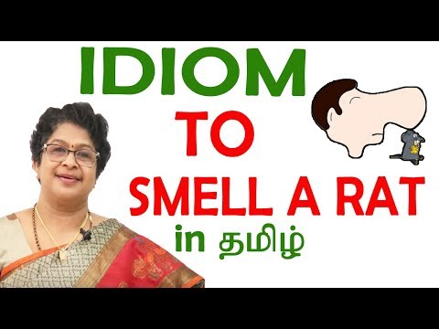 TO SMELL A RAT Idiom Meaning | English Idioms in Tamil | IDIOM #07