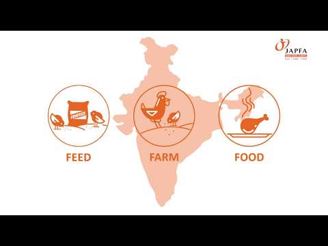 Broiler Finisher Pellet at Best Price in India