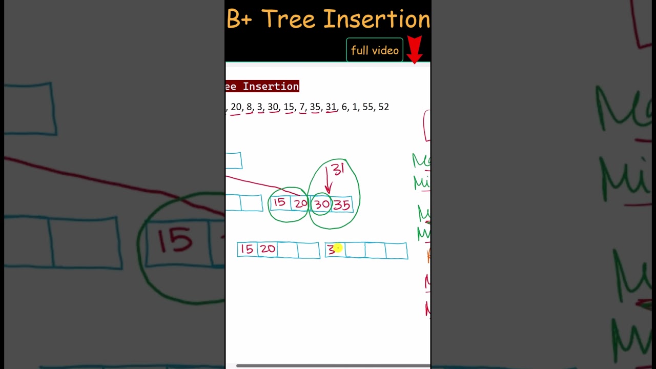 B+ Tree Insertion | Data Structure #BPlusTree #DSA #TreeTraversal