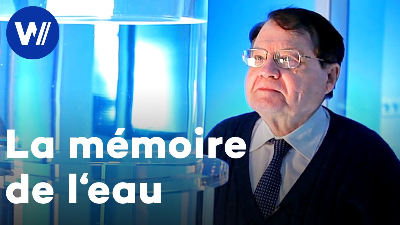 Téléportation de l'ADN : Luc Montagnier défend la théorie de Benveniste sur la mémoire de l'eau