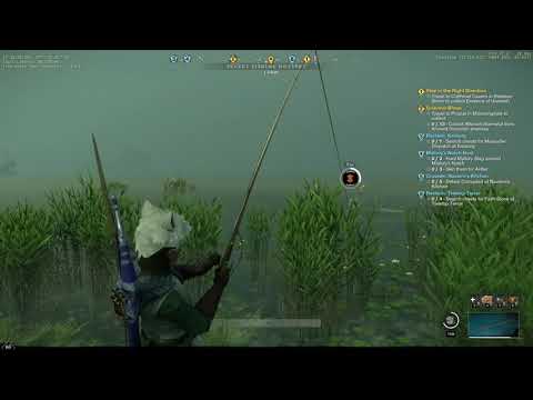 New World 1.0.3 Fishing - Swordfish Spot in Weaver's Fen