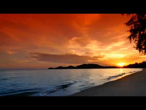 Free Nature Background Video | 4K | No Copyright