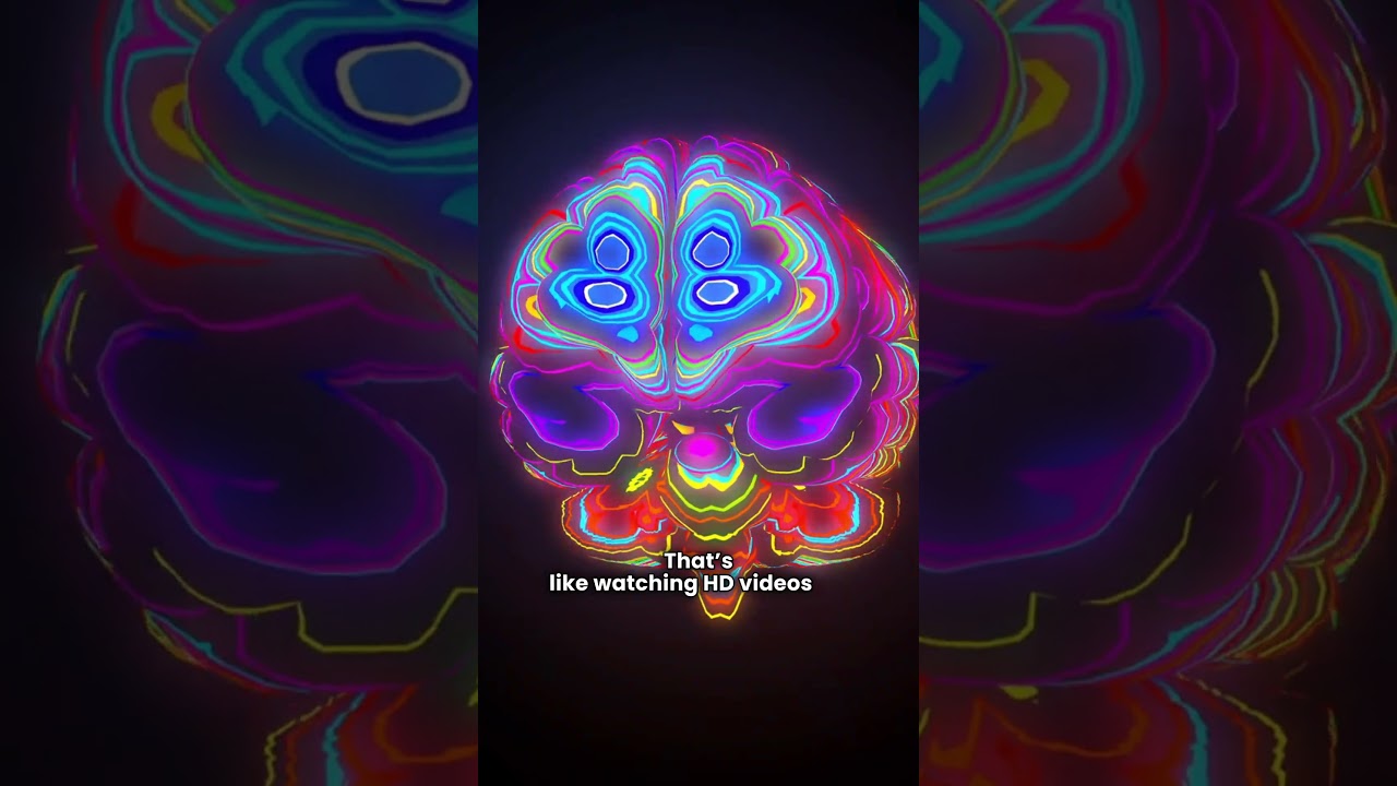 Your Brain vs the Internet 🧠💻 | Mind-Blowing Fact #1 | Scroll & Know