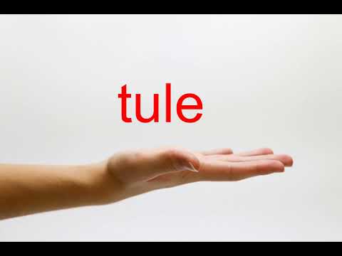 How to Pronounce tule - American English