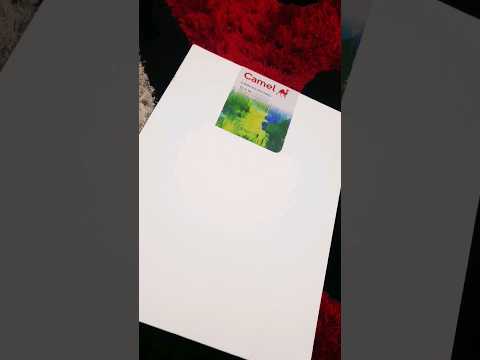Unboxing new 12*16 camelin canvas😎#unboxing#viral