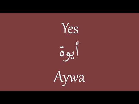 How To Say Yes in Egyptian - Egyptian Academy