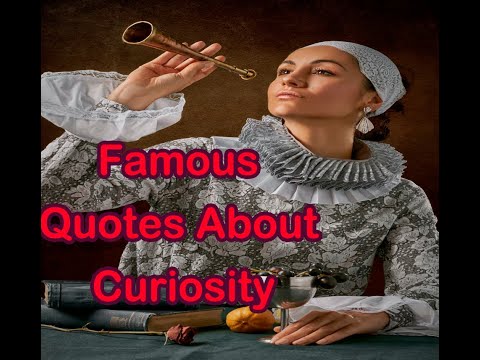 quotes about curiosity #short #Englishquotes