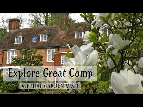 Explore Great Comp