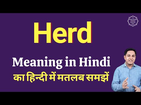 Herd meaning in Hindi | Herd ka kya matlab hota hai | daily use English words