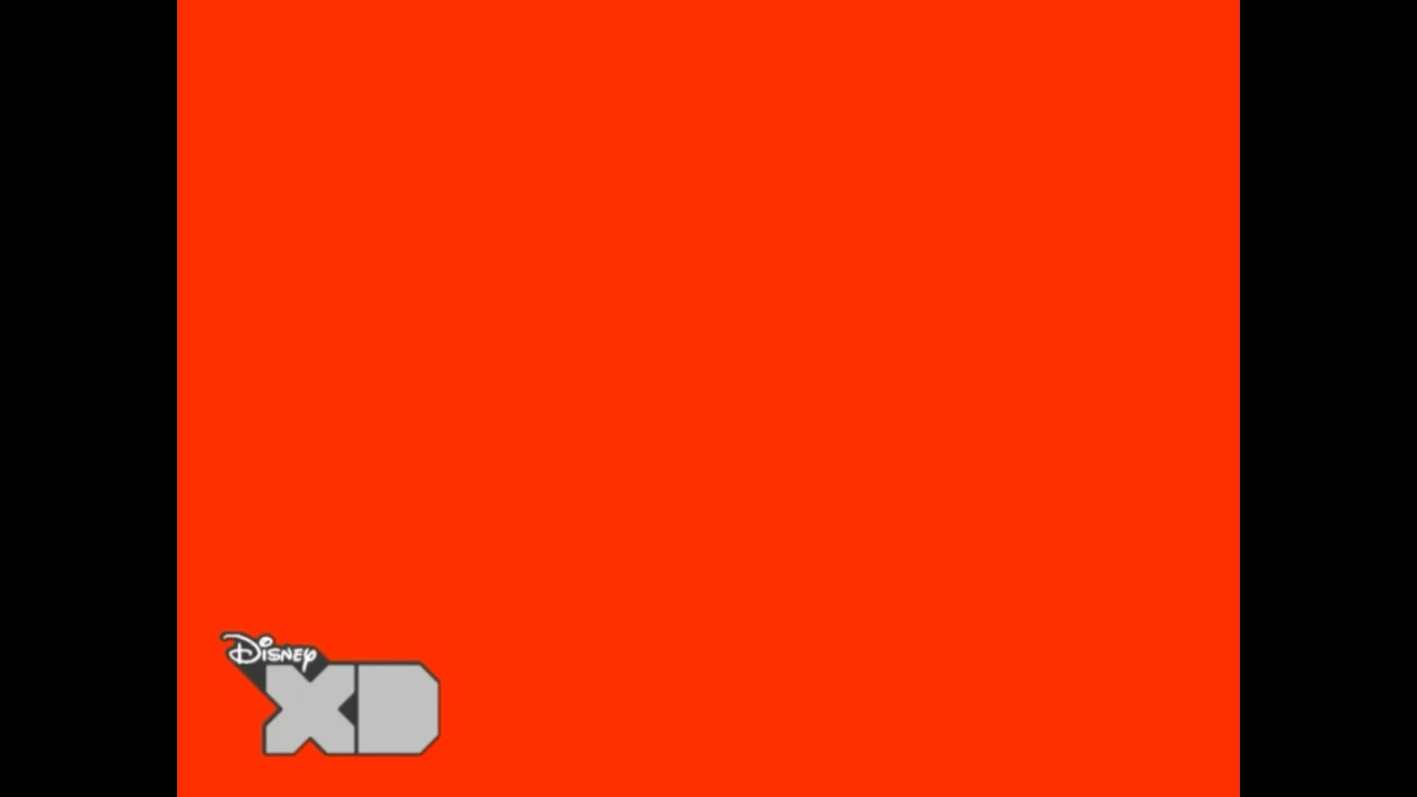 DXD screen bug template 2009 v2