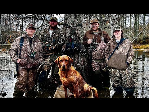 2024 Mississippi Duck Opener | Wood Ducks and Gadwall On Skinny Water