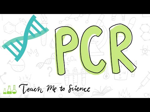 PCR