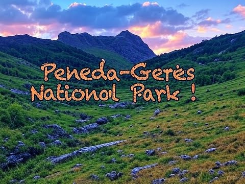 Peneda-Gerês National Park | Portugal’s Wild Paradise 🇵🇹🌲