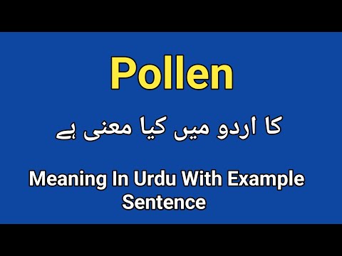 Pollen meaning in urdu |english |pollen k kia matlab hai