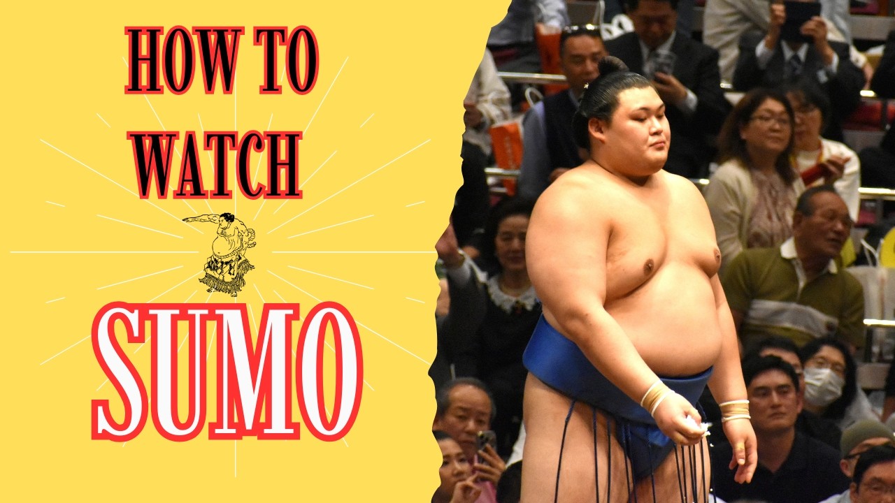 How To Watch Sumo in Tokyo, Japan: Tickets, Understanding Sumo, & Tips