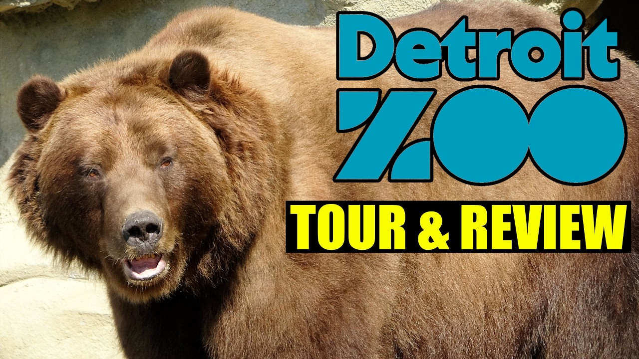 Detroit Zoo Tour & Review