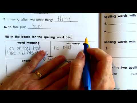 Benchmark Unit 3, Week 3, Spelling