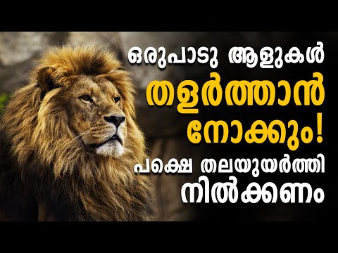 ATTITUDE IS EVERYTHING | Powerful Malayalam Motivation