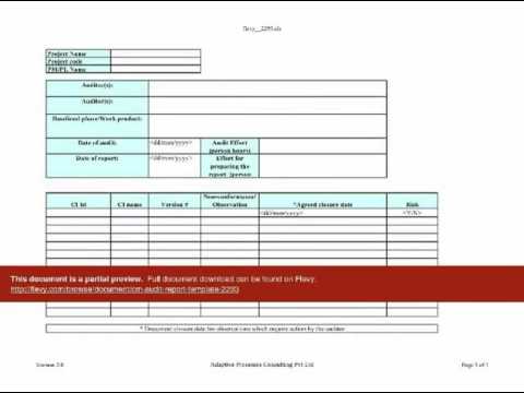 CM Audit Report Template