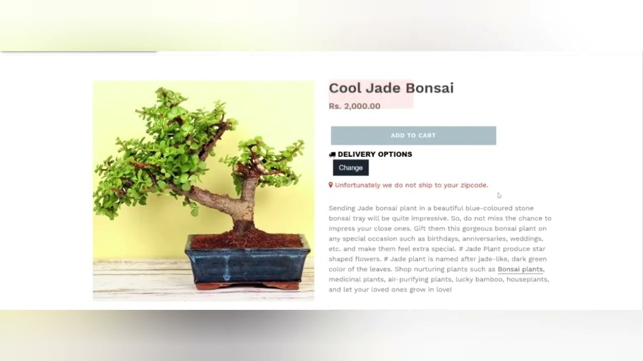 Smart Zip Code Validator Shopify App