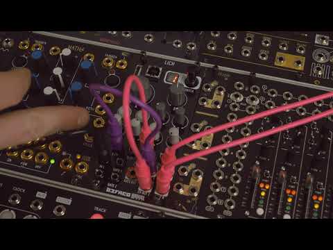 Befaco Lich 2023 - Black | Reverb