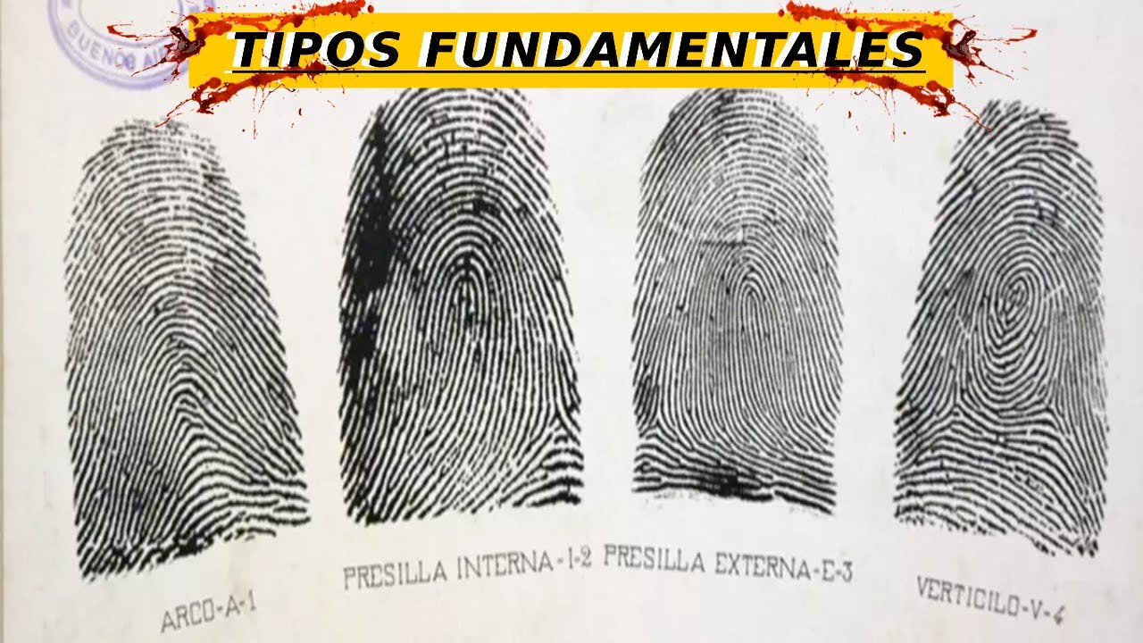 Aprende a estudiar HUELLAS DACTILARES | Dactiloscopia