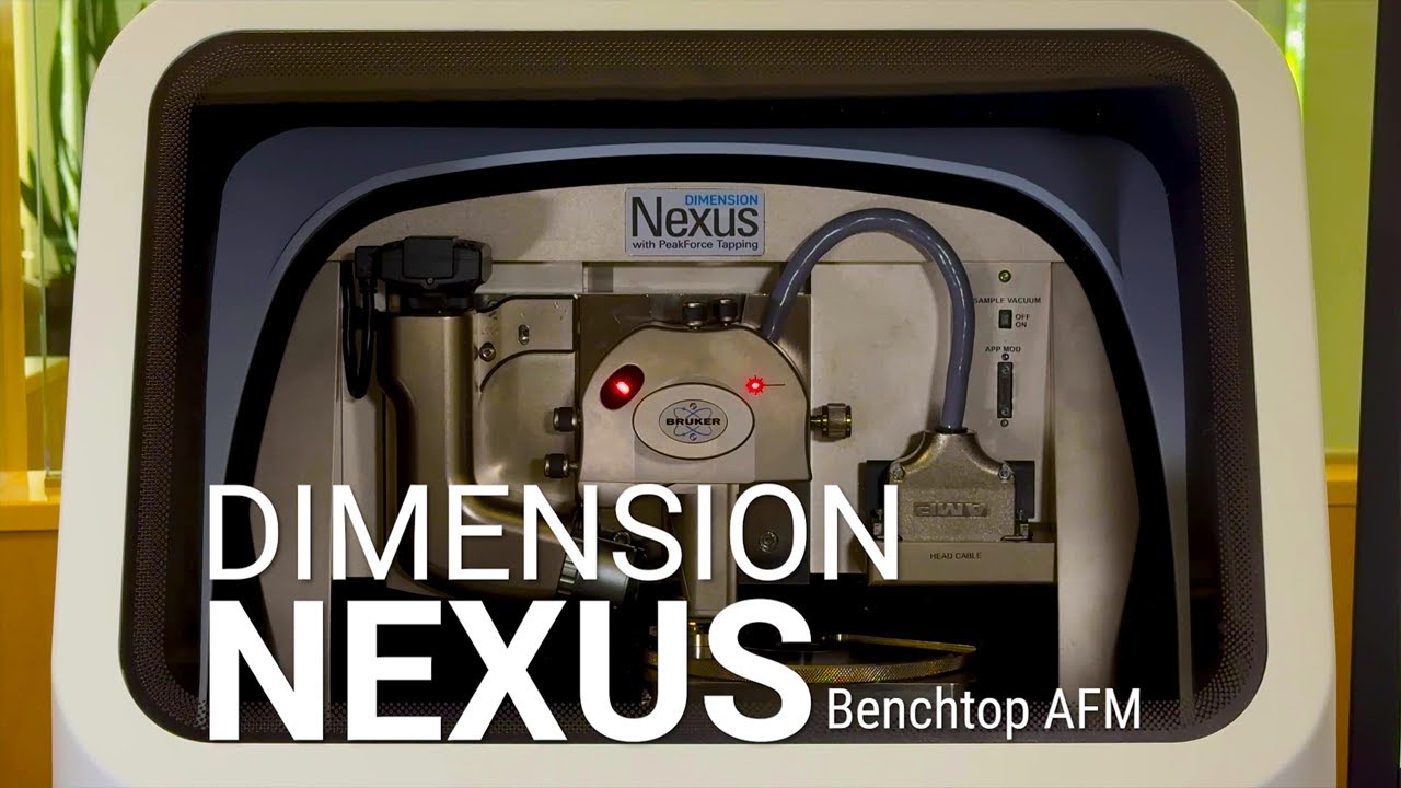 Dimension Nexus: A New High-Performance Standard for Cost-Effective AFMs