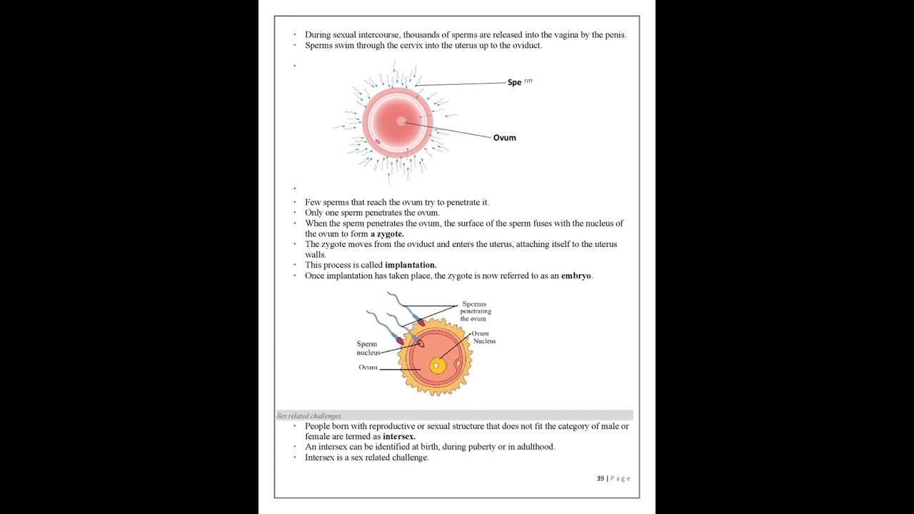 Grade 7 Integrated Science Notes (PDF)