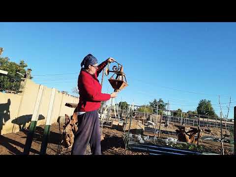 Urban Farming Lessons and Experiential Learning With Rick Borden | Scholar-Practitioner UCWV