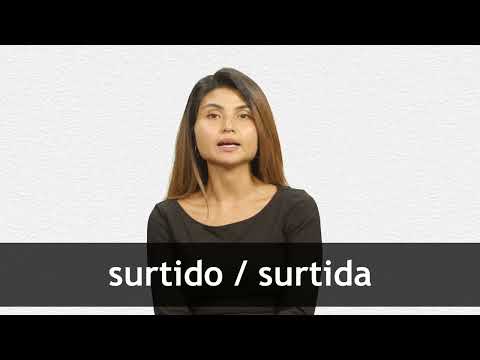 English Translation of “SURTIDO” | Collins Spanish-English Dictionary