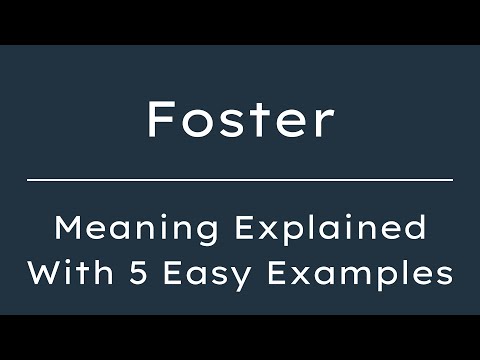 What Does Foster Mean? Foster Meaning in English With 5 Example Sentences